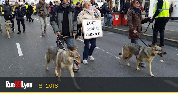 A Lyon, plus de 2 000 manifestants contre « la chasse aux loups ...