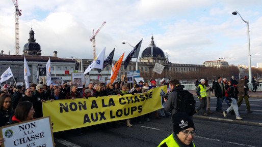 A Lyon, plus de 2 000 manifestants contre « la chasse aux loups ...