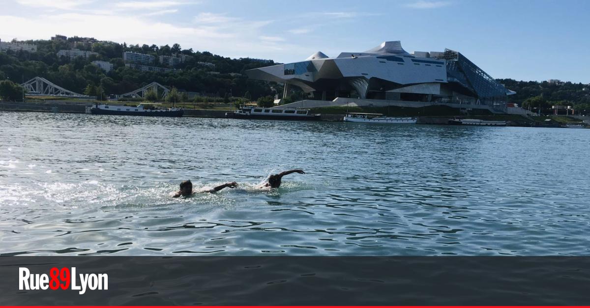 Baignade dans le Rhône : « À la piscine il y a trop de règles, ici c ...