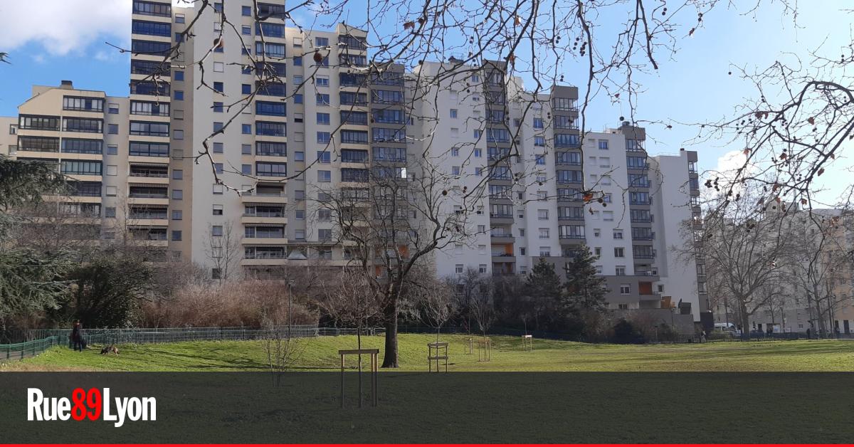 Au Tonkin, les résultats « limités » de « Place nette » contre le ...